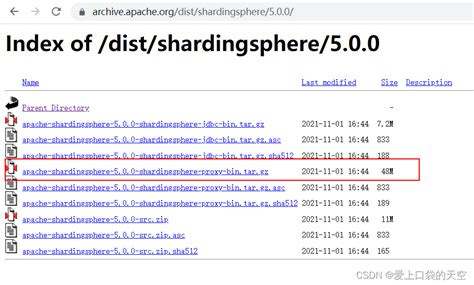 Sharding Proxy之安装以及水平分表shardingproxy下载 Csdn博客