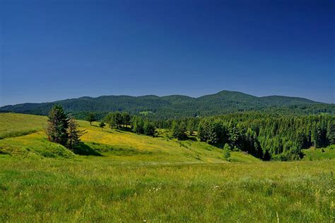 Планинска екскурзия до връх Виденица и Дяволския мост