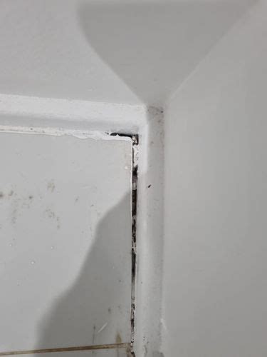 How To Fill Gap Between Tiles And Corner Bunnings Workshop Community