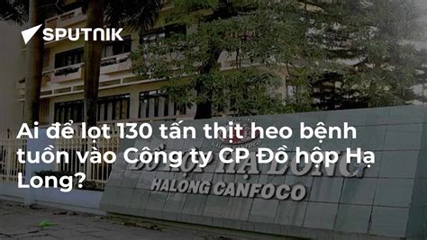 Ai để Lọt 130 Tấn Thịt Heo Bệnh Tuồn Vào Công Ty Cp Đồ Hộp Hạ Long