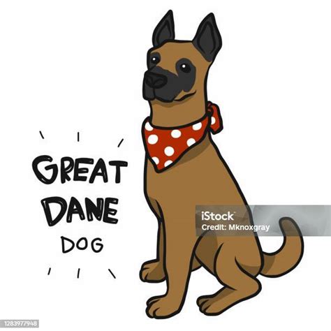 그레이트 데인 개는 빨간 스카프 만화 벡터 일러스트를 착용 개에 대한 스톡 벡터 아트 및 기타 이미지 개 일러스트레이션 가축 Istock