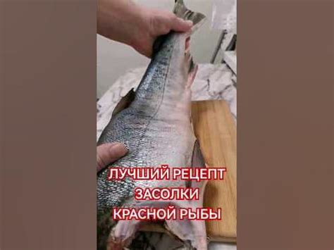 ЭТО ЛУЧШИЙ РЕЦЕПТ ЗАСОЛКИ КРАСНОЙ РЫБЫ - YouTube