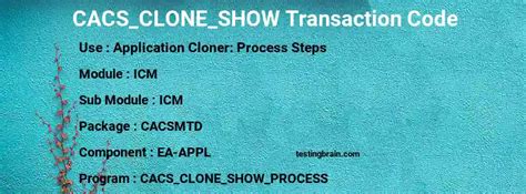 CACS CLONE SHOW SAP Tcode For Application Cloner Process Steps