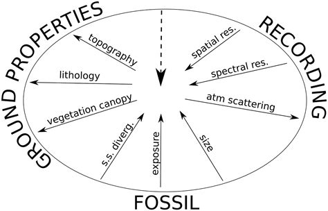 Multispectral Satellite Imaging Improves Detection Of Large Individual Fossils Geological