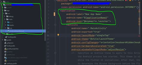 How To Change App Name In Flutter In 2022 SkillyPro