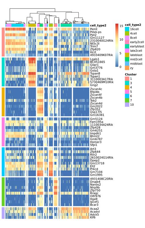 10 Clustering And Cell Annotation Analysis Of Single Cell Rna Seq Data