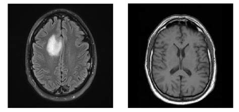 Implementation Of Gaussian Naive Bayes In Python From Scratch By Navoneel Chakrabarty