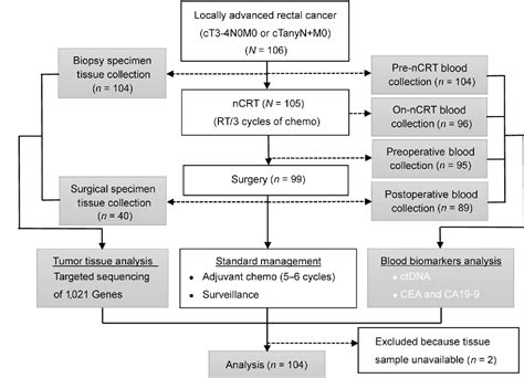 Pdf Serial Circulating Tumor Dna In Predicting And Monitoring The