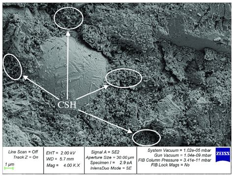 Sem Image Of The Structure Of A Hardened Cement Paste Subjected To