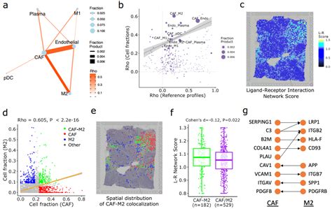 Nat Commun｜肿瘤空间转录组数据辅助分析工具——spacet，可准确预测细胞空间分布 知乎