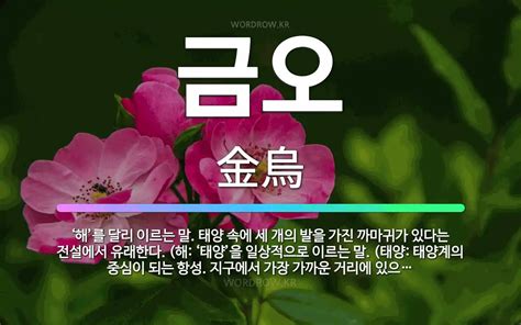 🌟금오 ‘해를 달리 이르는 말 태양 속에 세 개의 발을 가진 까마귀가 있다는 전설에서 유래한다 해 표준국어대사전