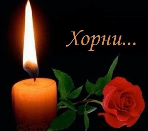 Что такое Хорни и Софт в молодежном сленге? Объясняем
