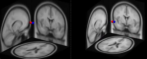 EEGLAB On Octave EEGLAB Wiki