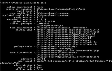 Optimization No Executable Found For Solver Ipopt Operations Research Stack Exchange