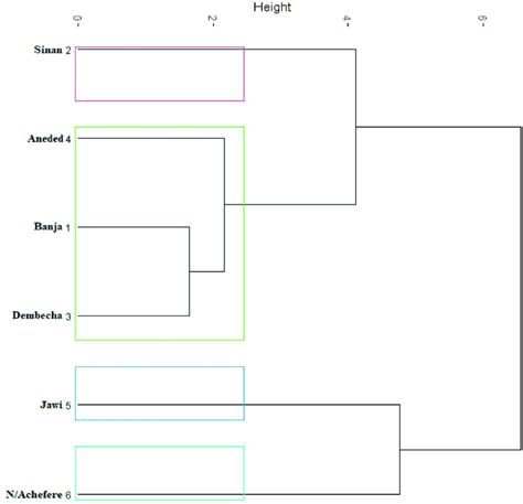 Dendrogram Constructed Based On Quantitative Traits Having A High