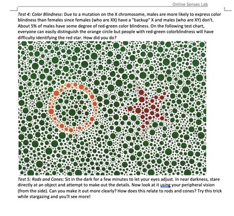 Solved Online Senses Lab Test 4 Color Blindness Due To A