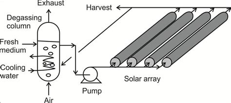 3 Front And Side View Of The Flat Panel Photobioreactor Download