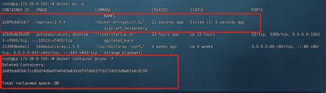 一键删除所有未使用的docker镜像和无用容器 记录生活,精彩一刻 一键删除所有未使用的docker镜像和无用容器 记录生活,精彩一刻