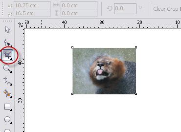 Cara Cropping Gambar Dengan CorelDRAW Corel Draw Tutorial Indonesia
