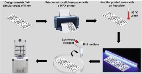 Atp Sensing Paper With Smartphone Bioluminescence Based Detection