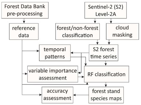 Scheme Of Forest Tree Species Mapping With Different Combination Of Download Scientific Diagram