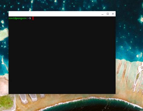 8 Best Linux Apps For Chromebook 2020 TechWiser