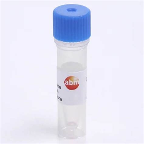get 10x restriction enzyme reaction buffer 2 from mbp inc