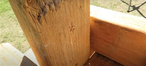 Can Bullets Go Through Brick Bullets Vs Brick Walls 2024