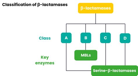 Mbl Classification
