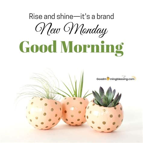 120 Monday Motivation Quotes And Messages