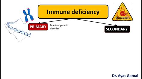 2 Immune Deficiency Complement Disorders Youtube