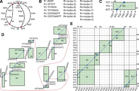 Spades A New Genome Assembly Algorithm And Its Applications To Single