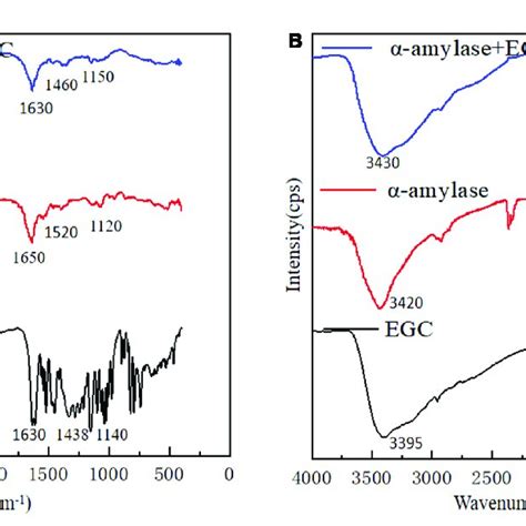 Fourier Transform Infrared Ftir Spectra Of Different Samples A