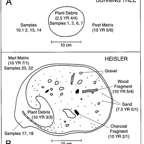 Schematic Vertical Cross Sections Through Features Inferred As