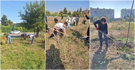 „ჩემი სკოლის ლამაზი ეზო“ რუსთავის N20 საჯარო სკოლაში გარემოსდაცვითი პროექტი განხორციელდა ეტალონი