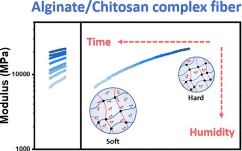 Humidity Adaptive Behaviors Of Alginatechitosan Complex Fiber Acs