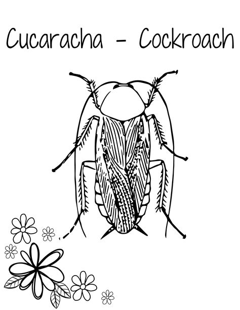 Cucaracha Cockroach Coloring Worksheet In Spanish Prechool Bugs Learing About Cockroaches