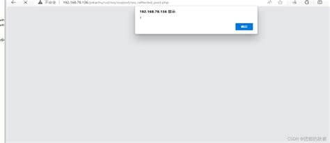 Xss漏洞 （跨站脚本攻击）xss注入获取cookie的网站 Csdn博客