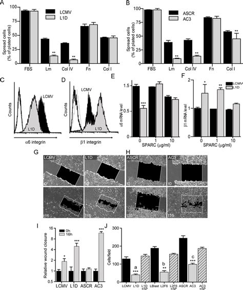 Sparc Regulates Cell Adhesion Integrin Expression And Migration A Download Scientific