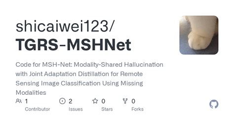 Github Shicaiwei123 Tgrs Mshnet Code For Msh Net Modality Shared Hallucination With Joint