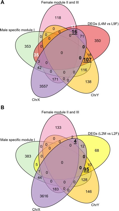 Identification Of Genes Associated With Sex Expression And Sex