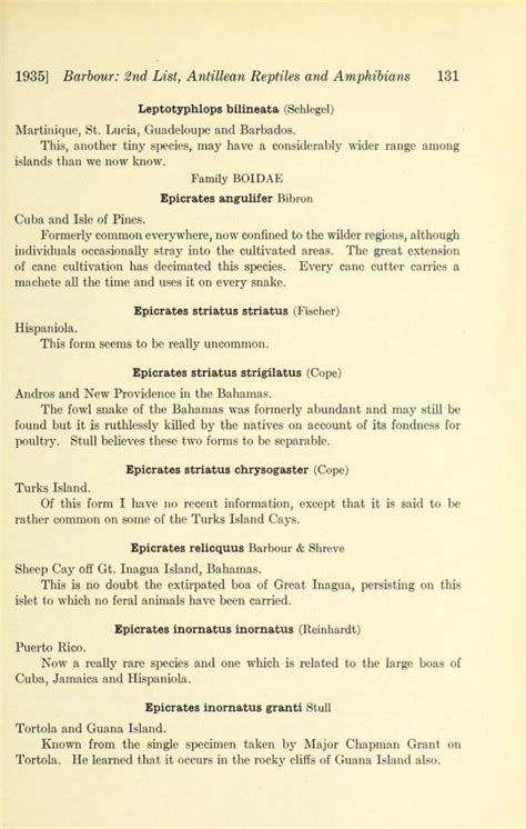 Chilabothrus Inornatus West Indian Boas