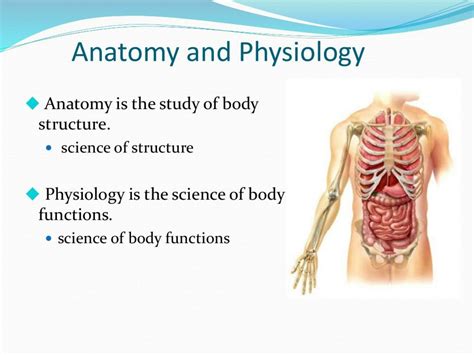 Solution Gnm Nursing 1st Year Anatomy And Physiology Notes Chapter 1 Introduction To Anatomy