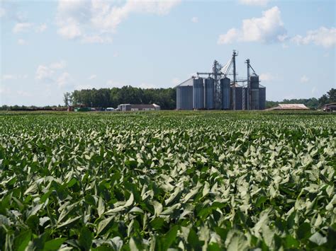 Soybean Water Use 101 Science For Success