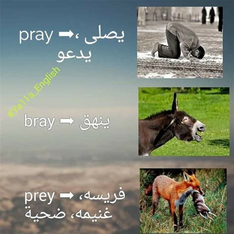 Pray Bray Prey Prey Pray Poster