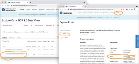 B Accessing Hca Data From R Bioconductor • Hcabioctraining