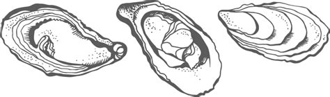 Oyster Clipart Black And White