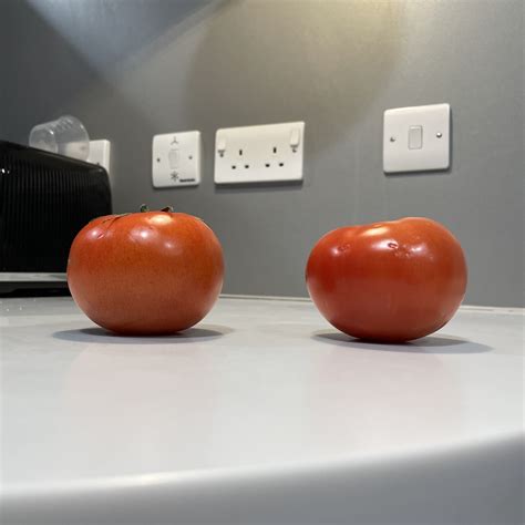 Grocery Training Set Object Detection Dataset And Pre Trained Model By Ece Erkan