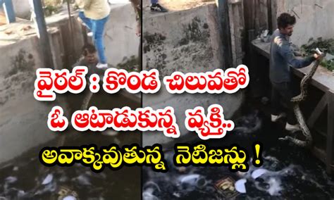 వైరల్ కొండ చిలువతో ఓ ఆటాడుకున్న వ్యక్తి అవాక్కవుతున్న నెటిజన్లు