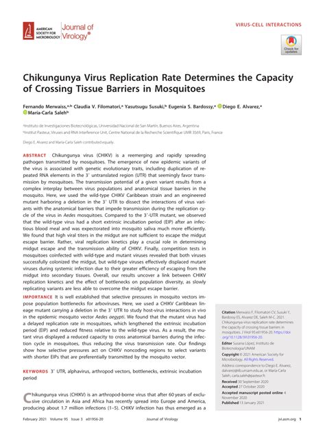 Chikungunya Virus Replication Rate Determines The Capacity Of Crossing